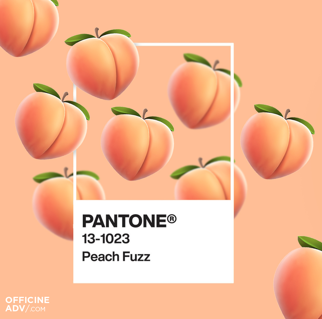PEACH FUZZ è il colore Pantone dell'anno 2024! - Officine ADV PEACH FUZZ è il colore Pantone dell'anno 2024! - Officine ADV